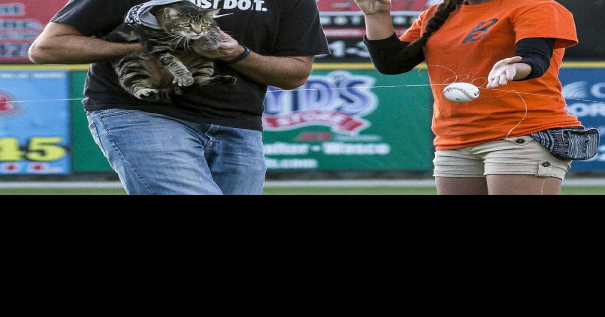 Tara the Hero Cat throws opening pitch