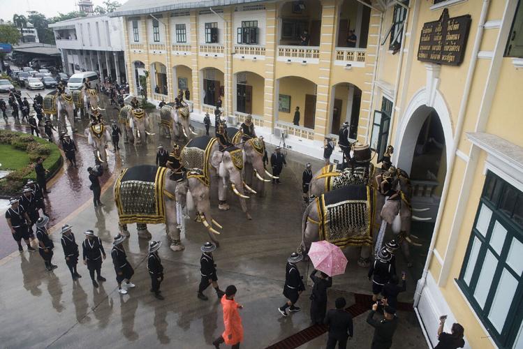 White elephants, mahouts in Thailand pay respects to late king at Grand ...
