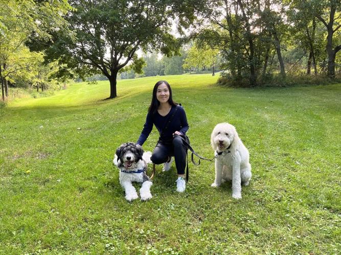 Dog-friendly Prince Edward County: Where to eat, drink and play with ...