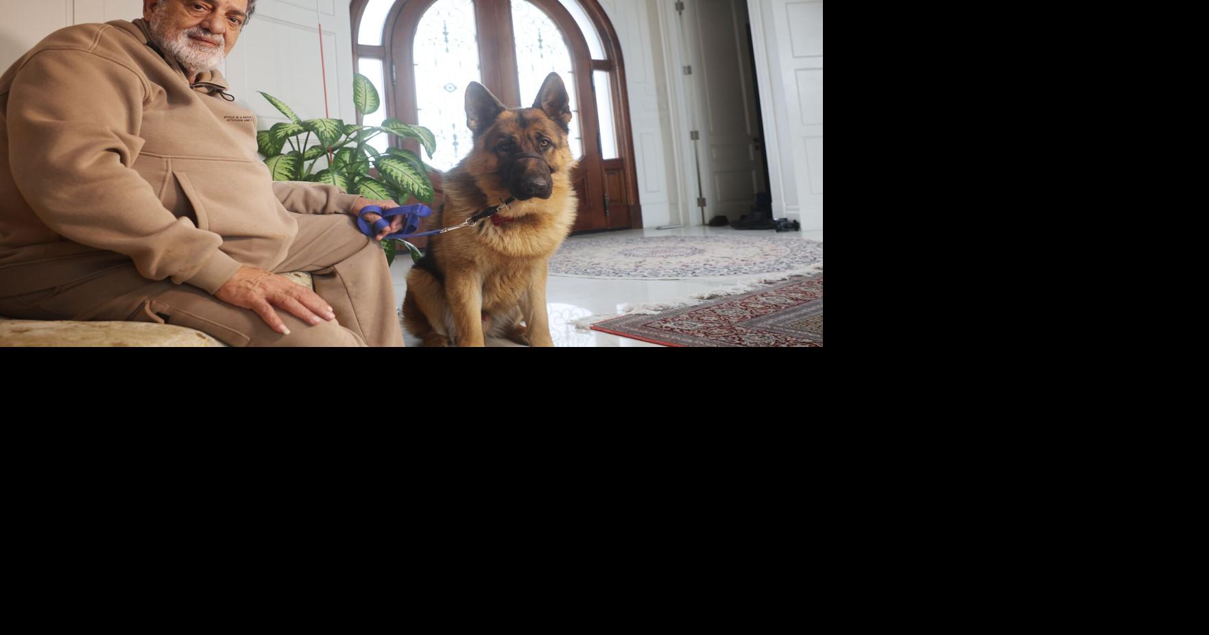 Thornhill man catches stranger attacking his dog in backyard
