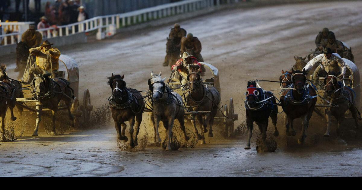 End modern-day chariot races