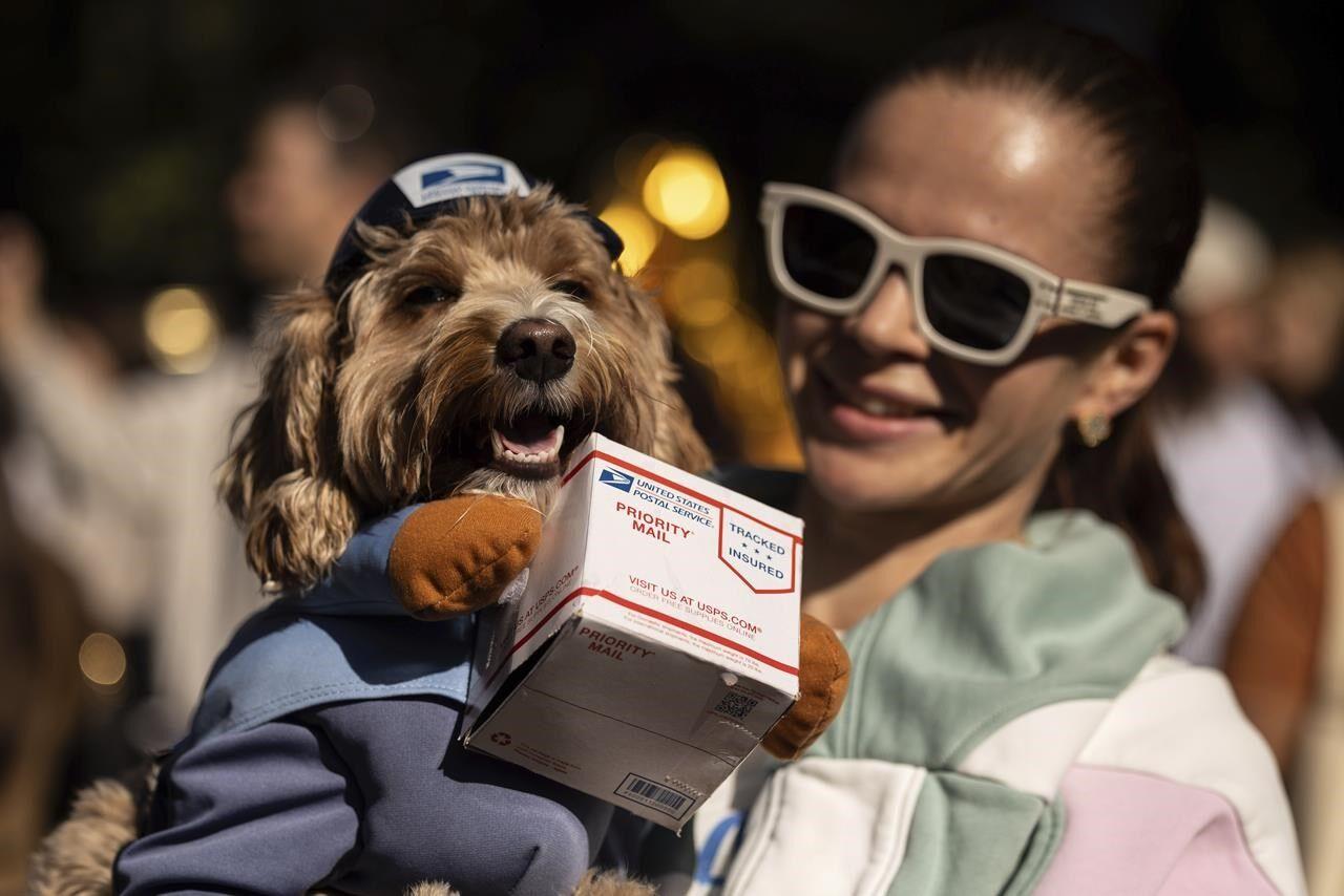Pups on parade: Dogs dressed to the nines for annual New York City ...