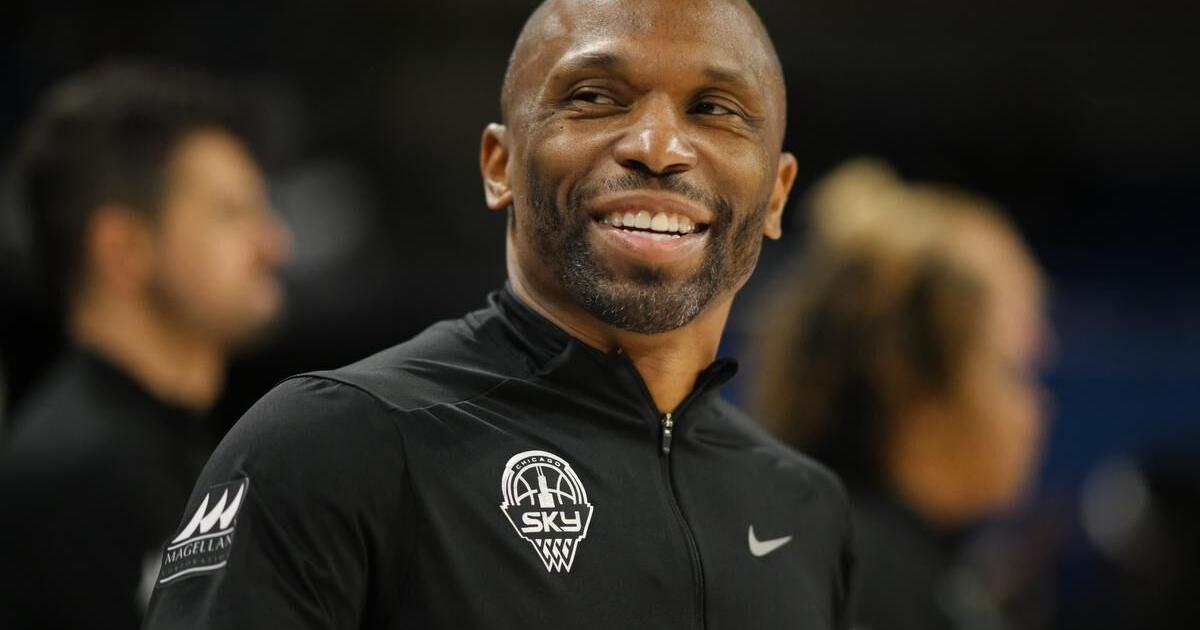 Raptors add WNBA coach James Wade to NBA staff