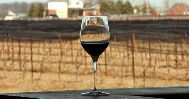 Wine does aid digestion