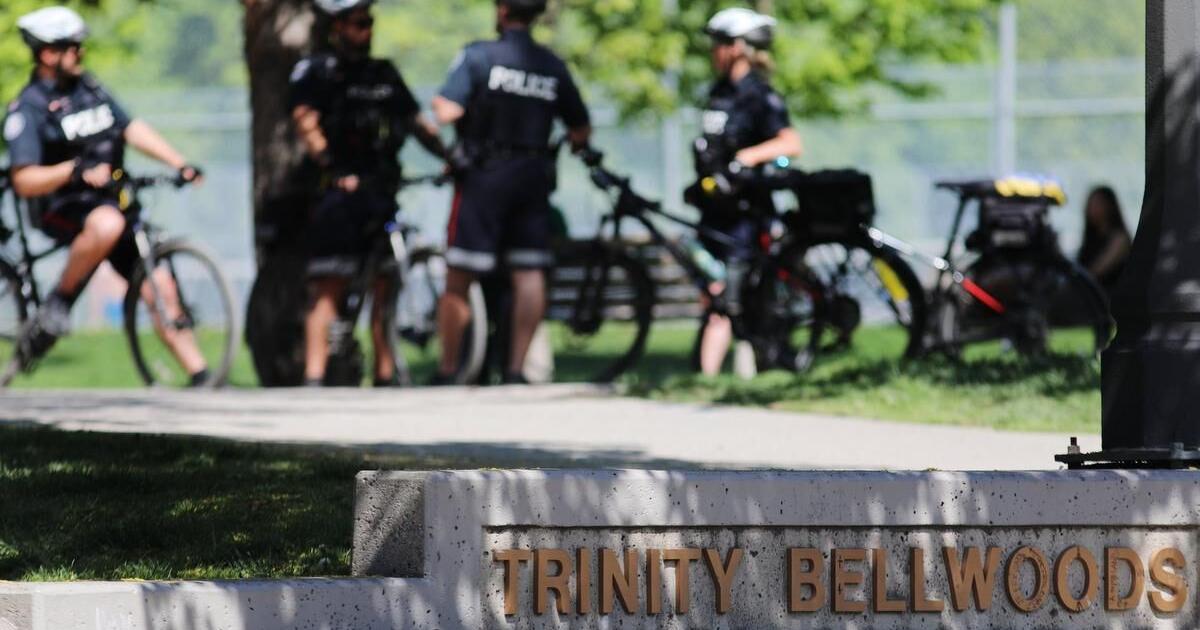 Woman dies after being hit by tree branch