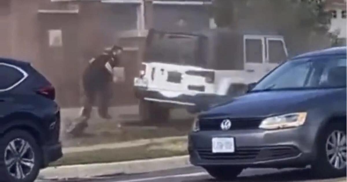 ‘hes Hitting Everybody Witnesses Capture Chaotic Video Of Brampton