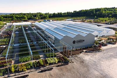 Fall in love with plants at Connon Nurseries