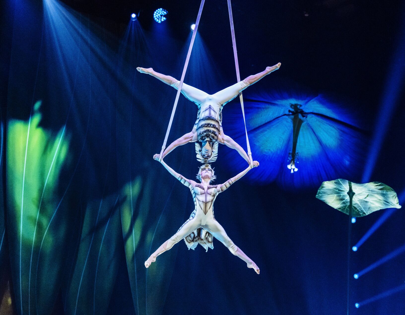 Review: Cirque du Soleil’s ‘Ovo’ is eye-popping
