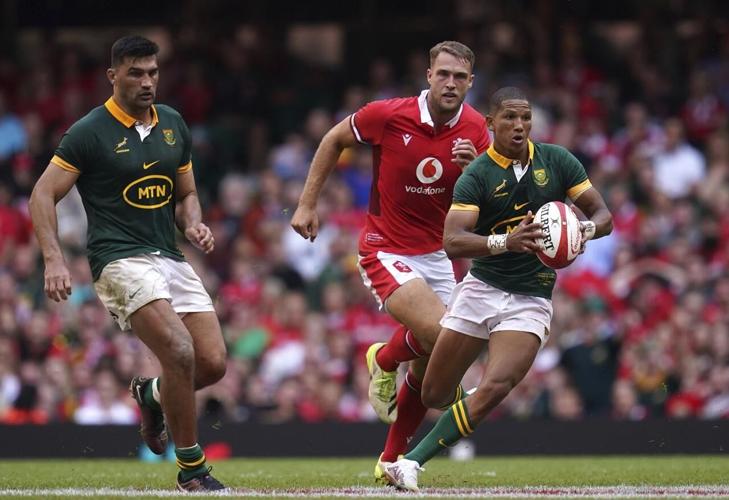Springboks aim to go back-to-back at Rugby World Cup for golden end to Erasmus-Nienaber era