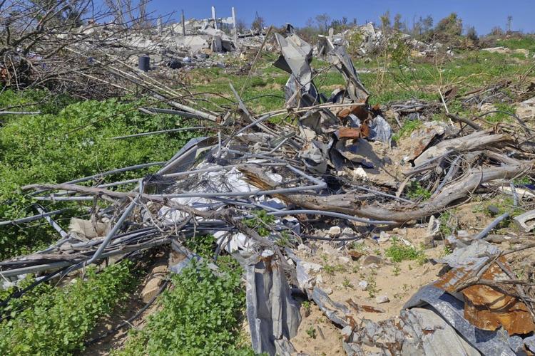 Israel controls 50% of Gaza after razing land to expand its buffer zone