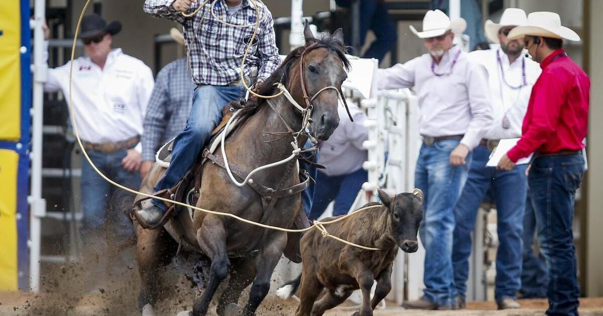 Caleb Smidt wins Calgary Stampede rodeo, beating out three former champions