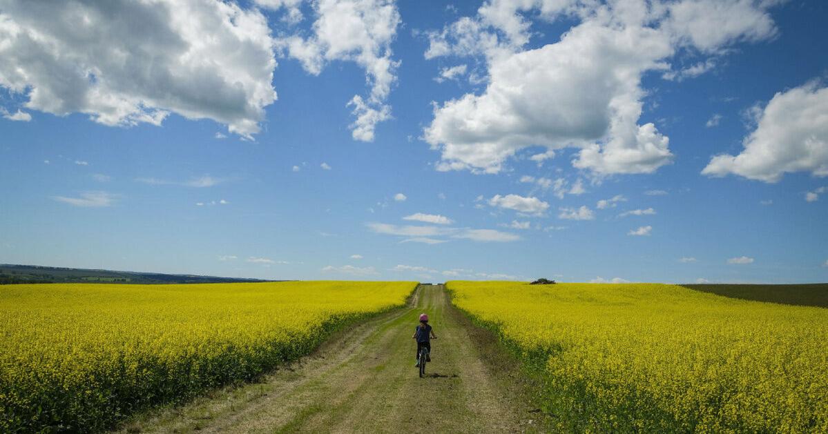Canada ranks ninth in UN quality of life ranking