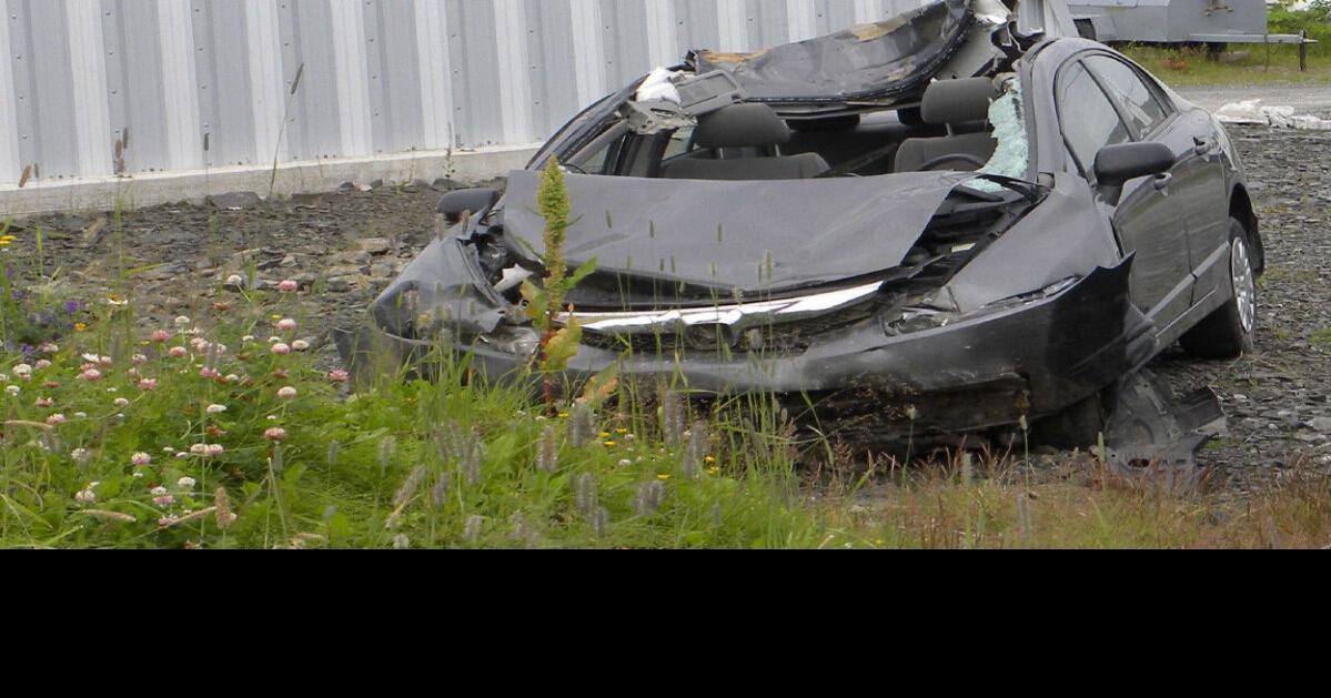 Newfoundland residents angered by recent moose-vehicle collisions