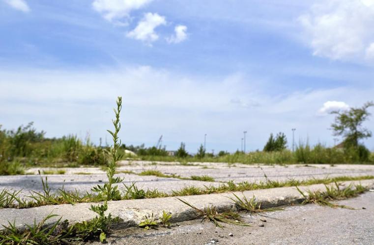 Ten years later, the site of Toronto’s massive Sunrise Propane ...