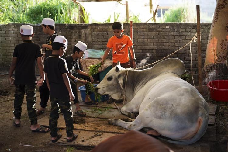 Indonesia’s Muslims celebrate Eid al-Adha with feasts after disease ...