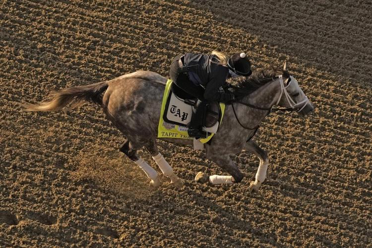 Forte, Derma Sotogake among Kentucky Derby horses to watch