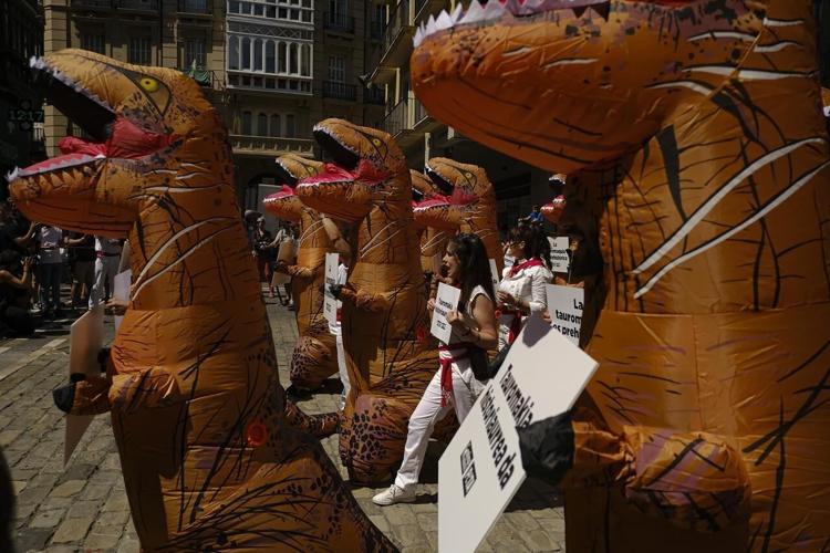Activists protest over Spain’s San Fermin bull-run festival