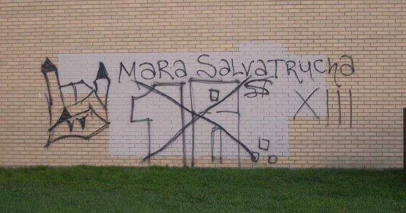 ms 13 graffiti