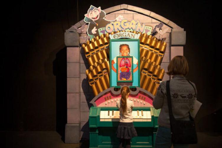 Sesame Street exhibit at Science Centre teaches tots about their bodies