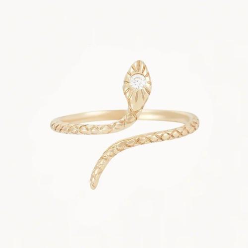 Women celebrating divorce with a divorce party, rings, cake