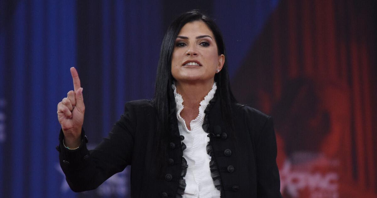 The NRA’s Dana Loesch is the new face of the U.S. gun rights movement