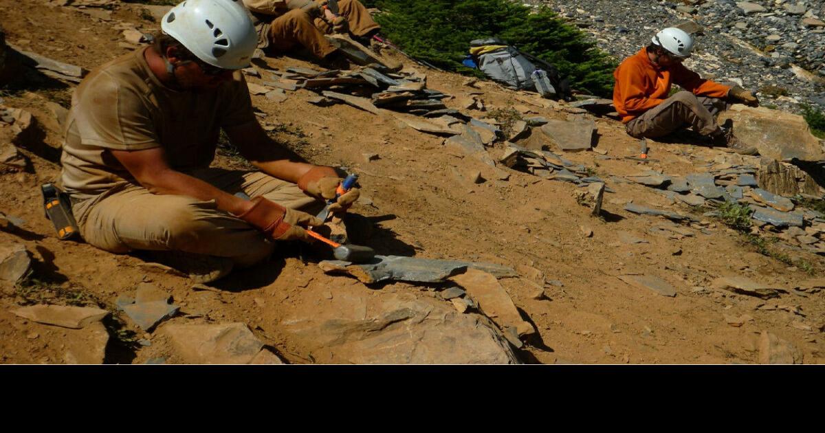Team led by Toronto paleontologist discovers site rich in fossil deposits