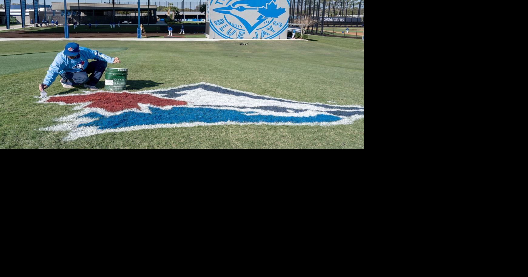 Ben Shulman will be good as the voice of the Blue Jays.