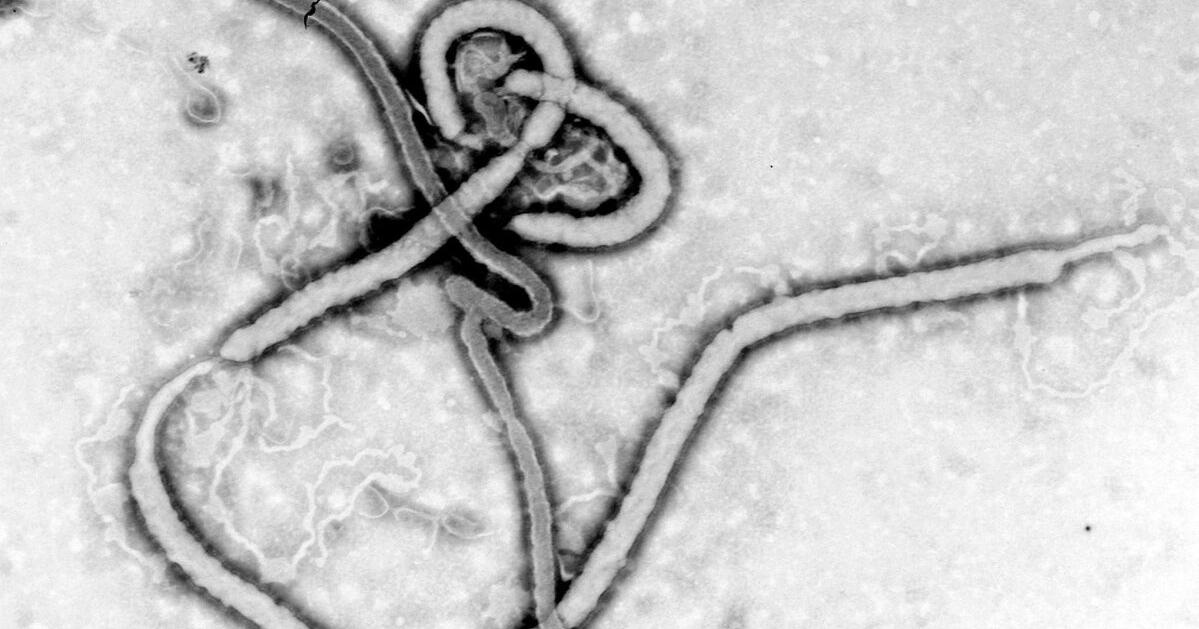 Canadian Ebola lab returning to Sierra Leone