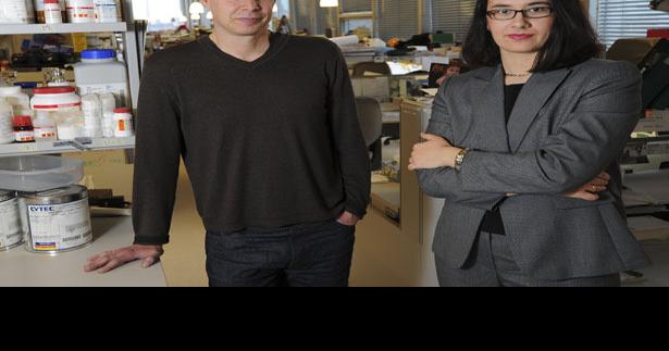 2010's people to watch: Peter Zandstra & Milica Radisic, bioengineers