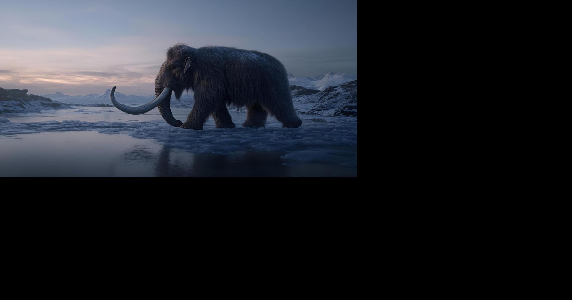 Toronto Zoo met startup bringing back the woolly mammoth