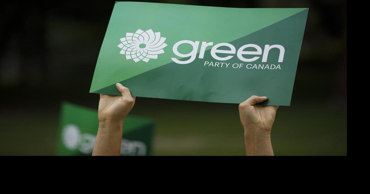 Astrophysicist Amita Kuttner chosen as interim leader of Green Party of ...