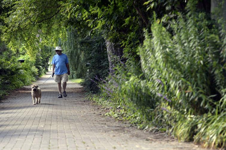 Want to rent on Toronto Islands? Get ready to schmooze