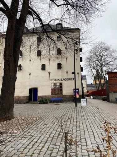 Nylander’s hometown offers clues of ‘mythical’ Leafs star