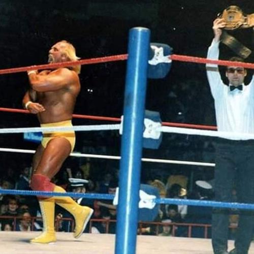 'He was the catalyst': Toronto referee remembers Hulk Hogan, the man ...