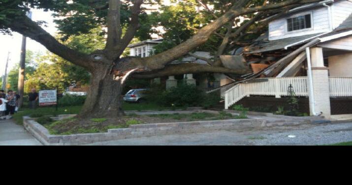 Woman's house crushed by city-owned tree. But who is liable?
