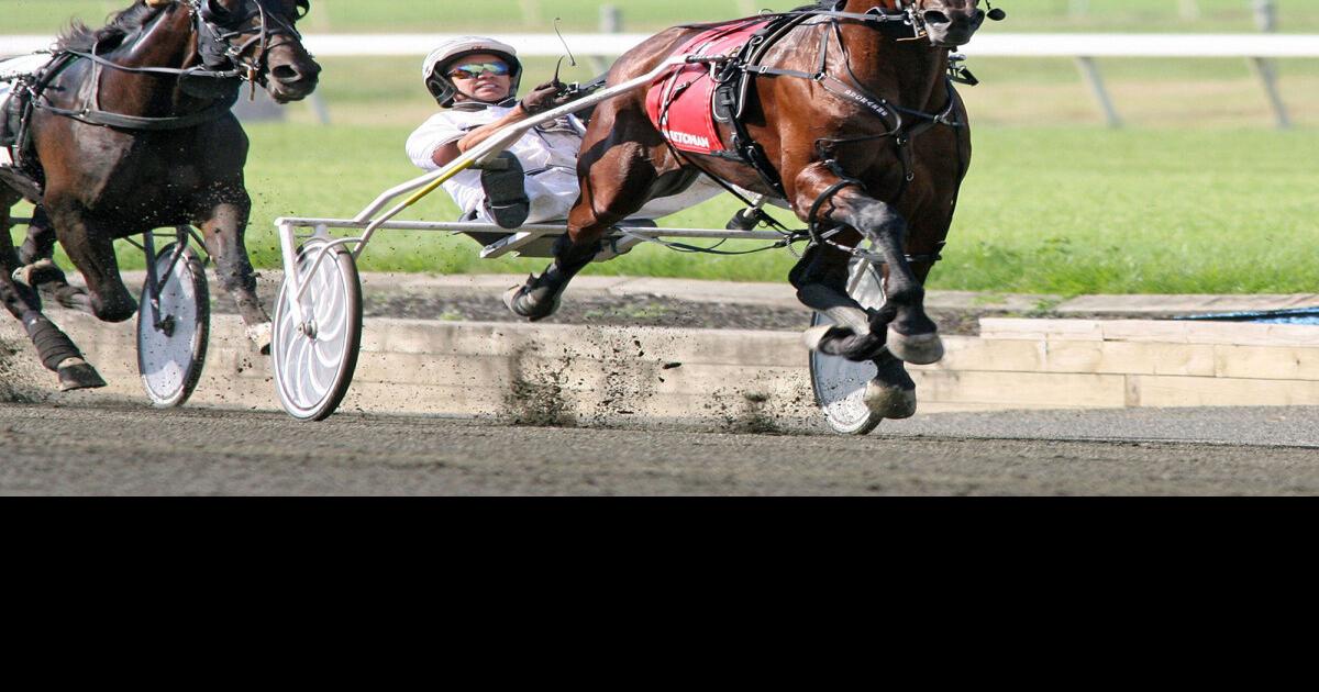 Harness racing: Royalty For Life wins $1.2M Hambletonian