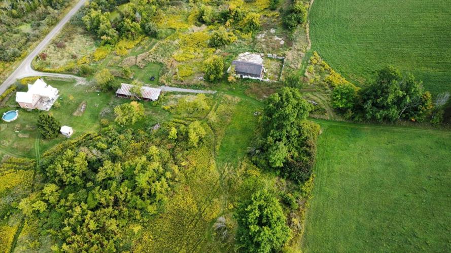 Carney cut a tree-planting program. So long to my 2000 trees