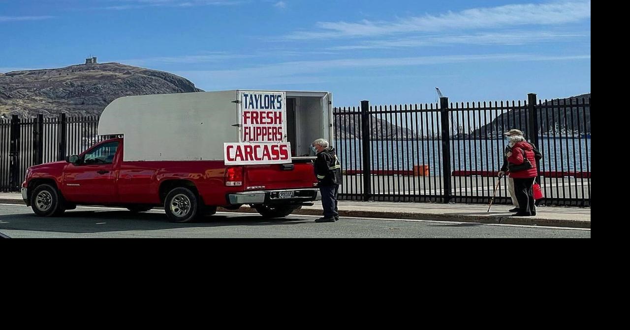 Early Easter hampers Newfoundland tradition of eating seal flippers on ...