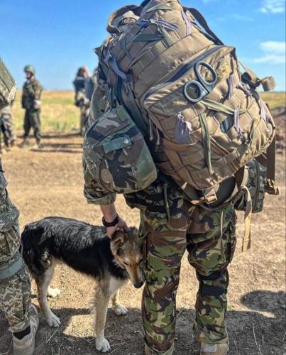Caring for the dogs of war: Ukraine’s front-line soldiers take time to ...