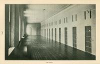 The dark history behind how Liberty Village got its name