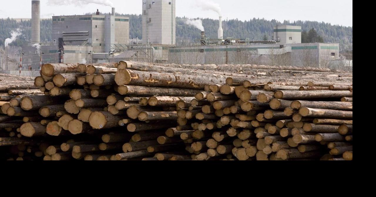 West Fraser Timber selling pulp mill in Hinton, Alta., to Mondi Group
