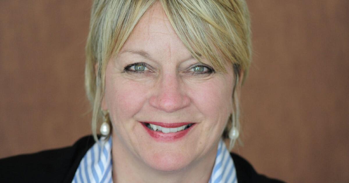 Maureen Adamson reappointed to the TTC board after diversity concerns