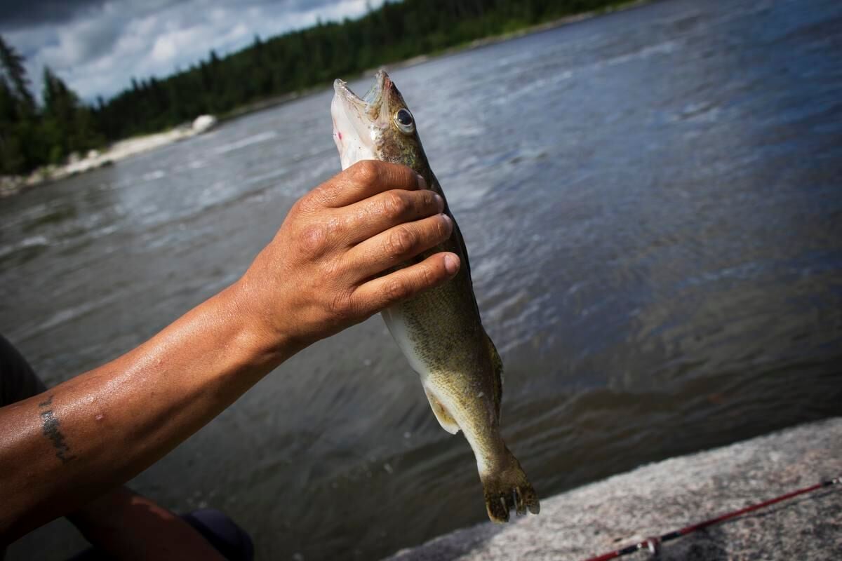 Landmark study reveals ‘clear evidence’ of mercury’s toll on health in ...