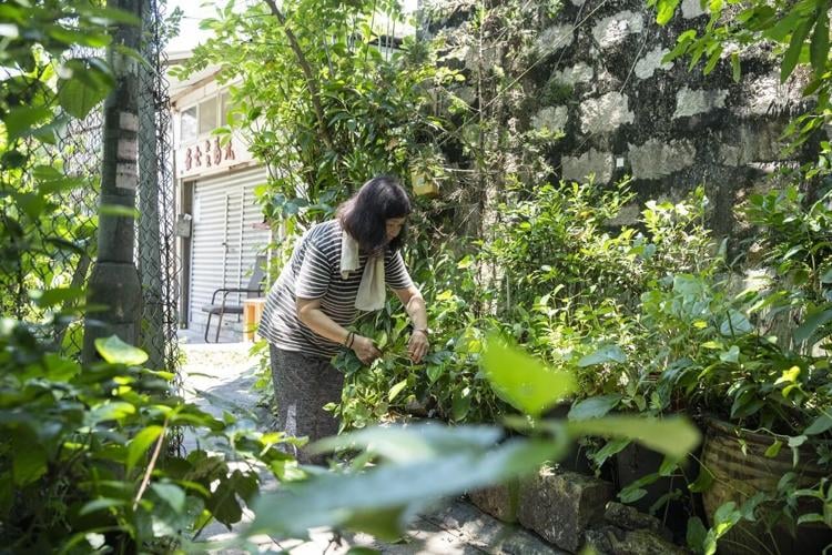 Villagers reluctant to say goodbye to one of Hong Kong's last squatter ...