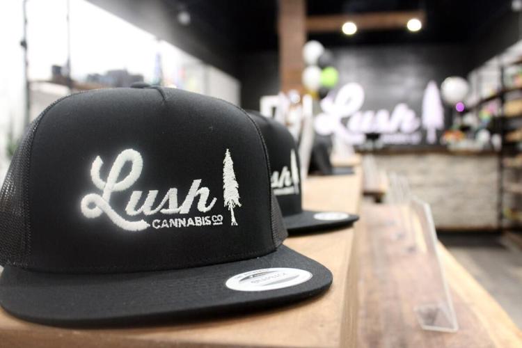 Lush Cannabis Co. enters competitive Peterborough market with new ...