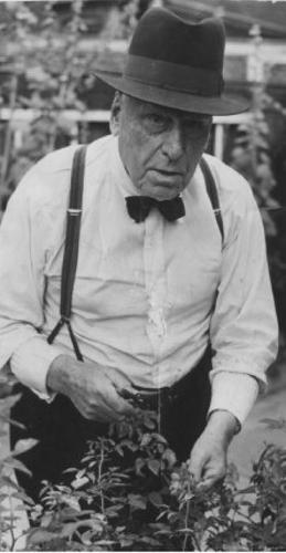 Once Upon a City: The frugal life and lavish last wishes of Thomas ...