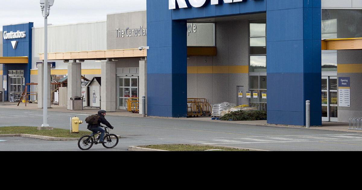 Rona board of directors being renovated as major shareholders back ...