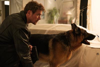 Why I can’t live without ‘Hudson & Rex’