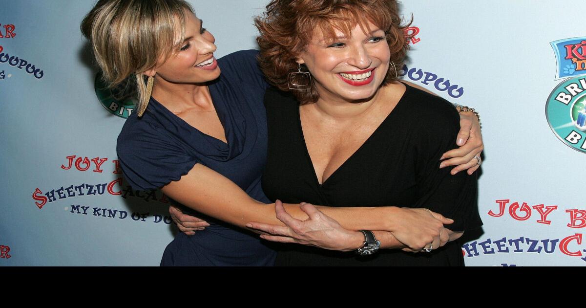Elisabeth Hasselbeck To Leave The View And Join Fox And Friends