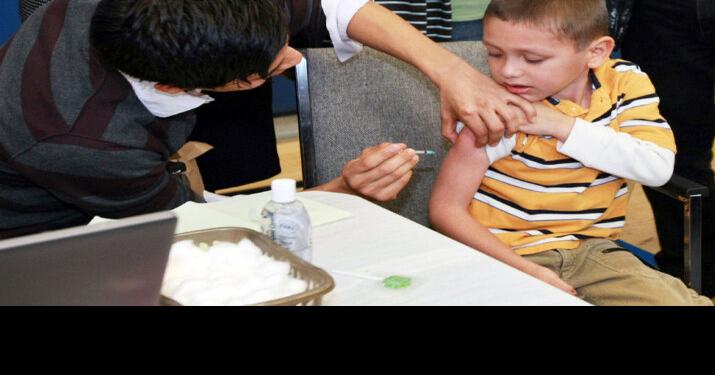 H1N1 swine flu still around, US CDC says